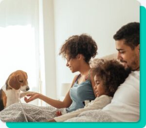 Life Insurance | Beagle Street