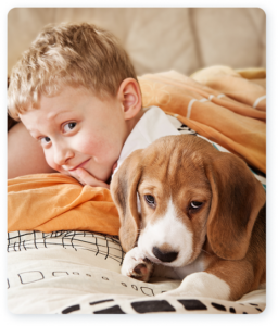 Beagle Street Life Insurance | Get a Life Insurance quote today